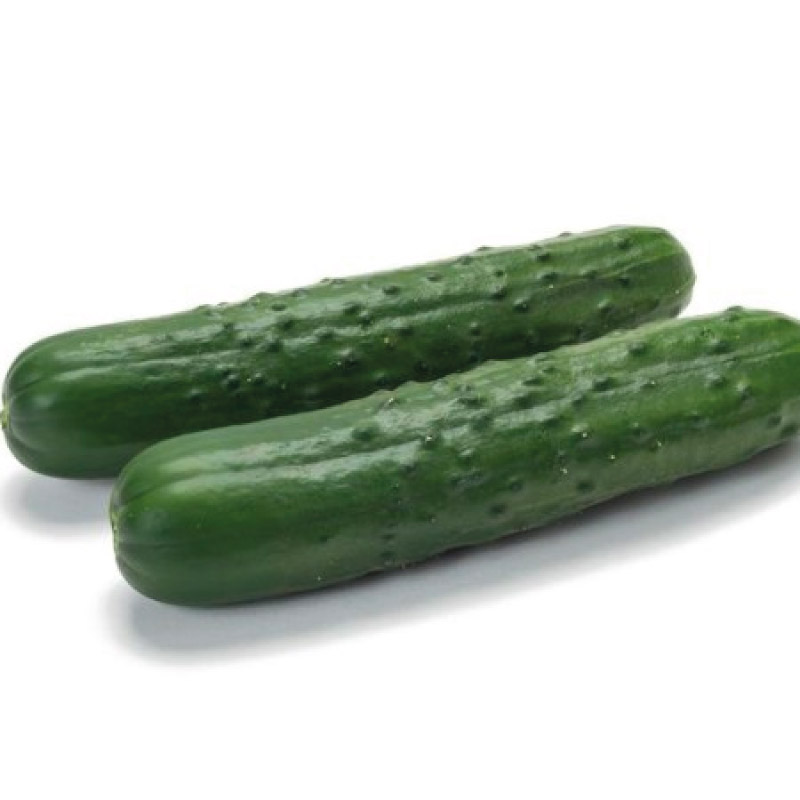 Caman RZ F1 – Vivaio La Margherita